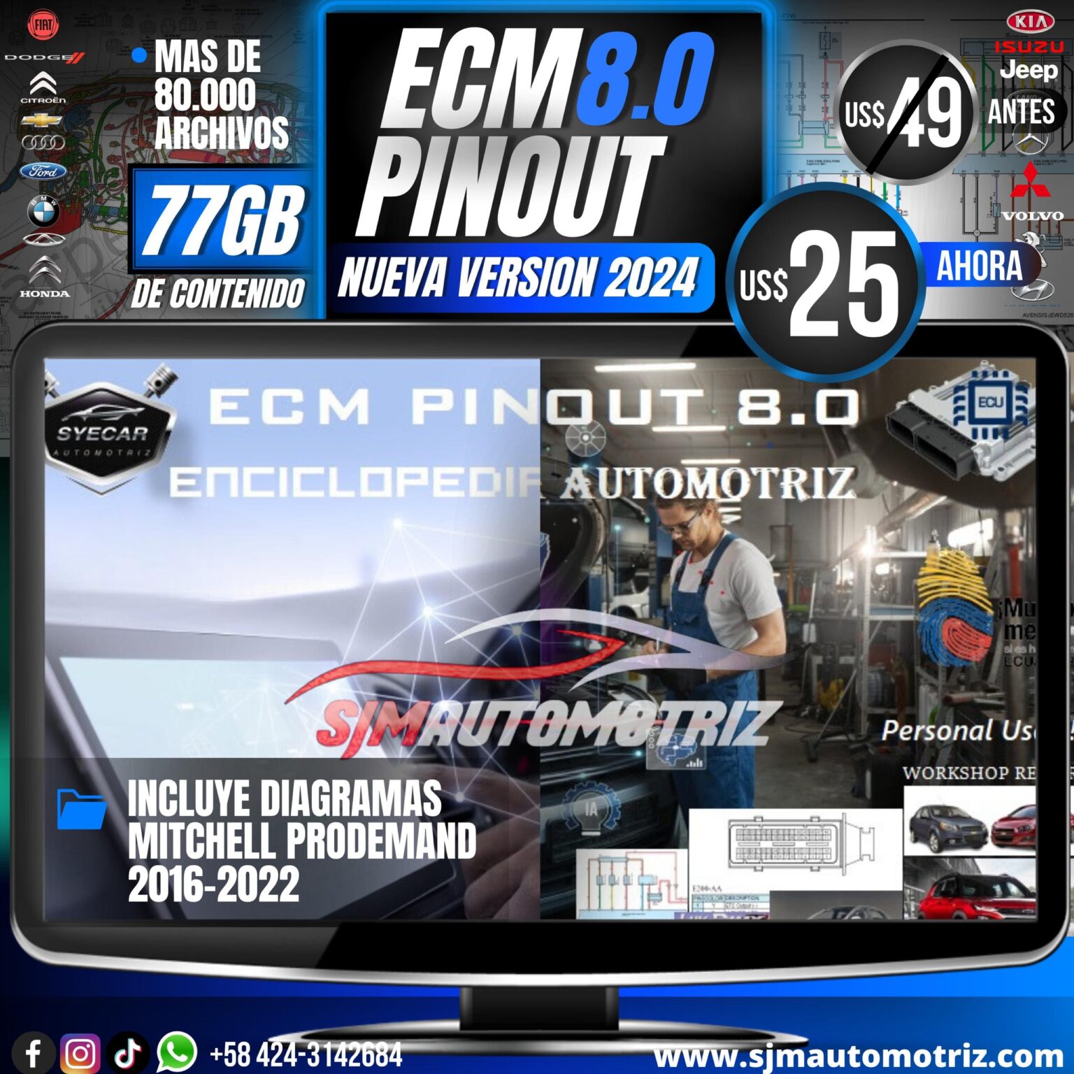 ECM Pinout 8.0 | Diagramas Eléctricos y Pinout ECU Automotriz ...